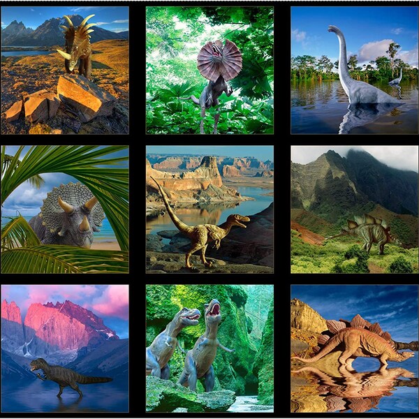 Dinosaur Quilt Panel - Etsy