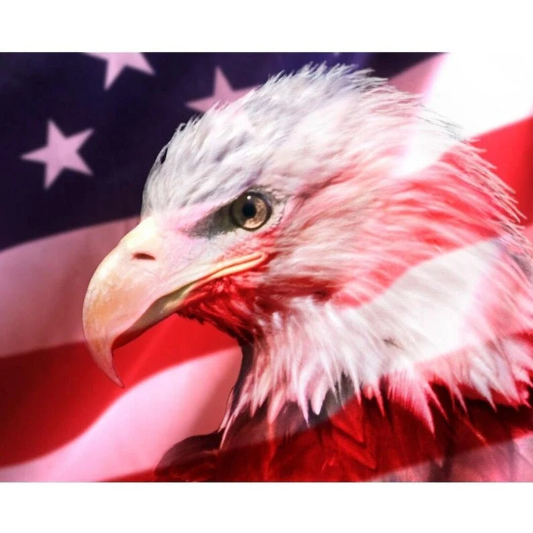 American Bald Eagle and Flag Panel in Multi Premium Quality 100% Cotton ...