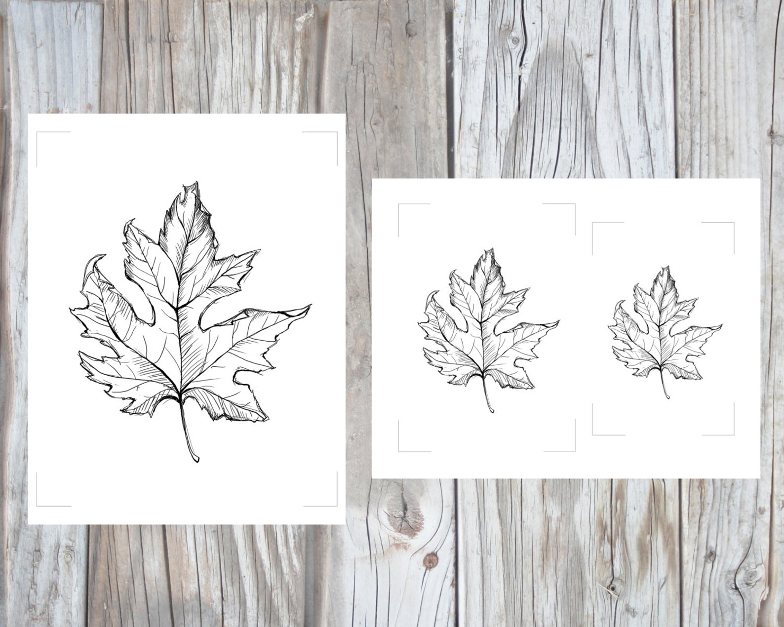 Leaf Line Drawing Instant Download, Leaf Art, Fall Leaves, Instant ...