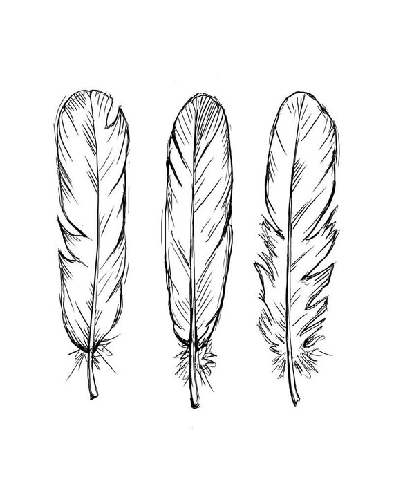Feather Sketch