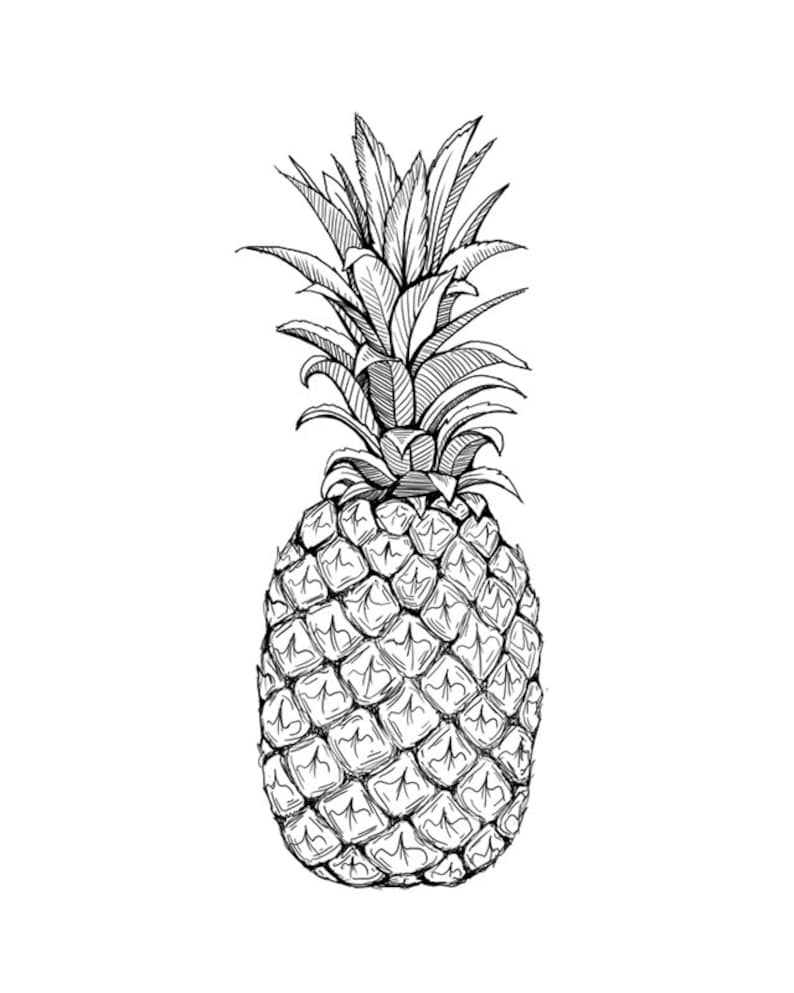 Pineapple Drawing Instant Download Printable Art, Pineapple Drawing ...