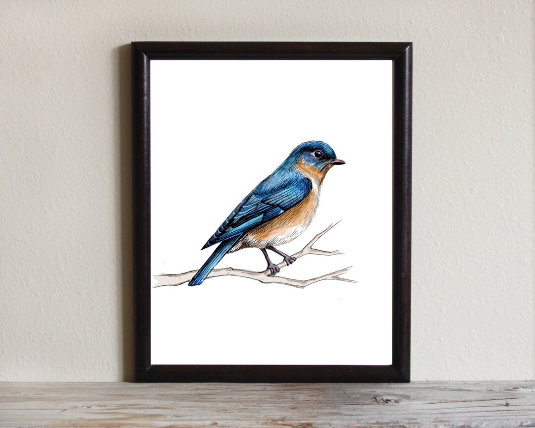 Bird Printable Art, Instant Download, Bluebird, Nature Wall Art, Bird ...