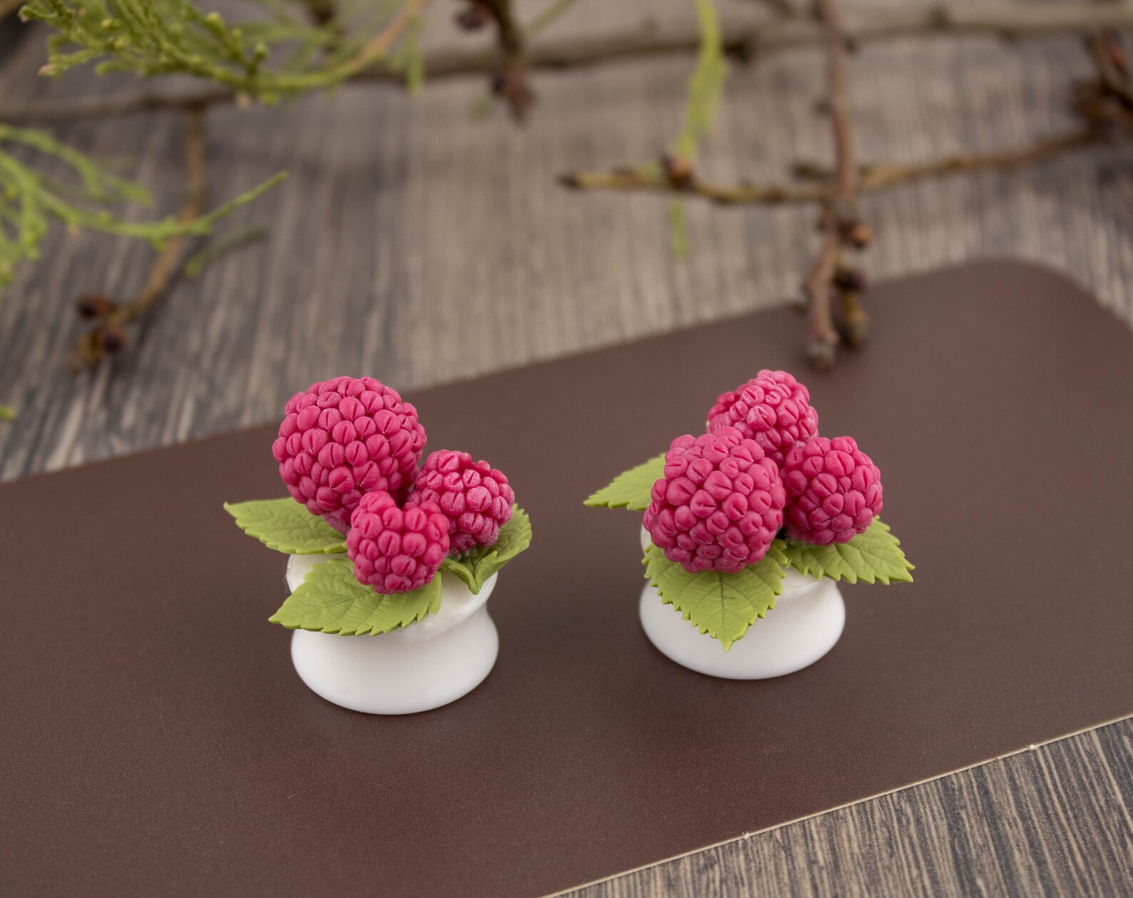 Large size ear plugs and gauges 12mm 14mm 16mm 18mm 20mm | Etsy