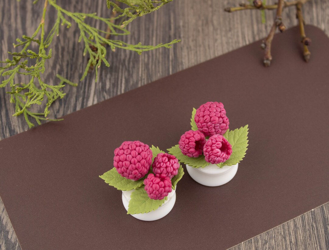 Large Size Ear Plugs and Gauges 12mm 14mm 16mm 18mm 20mm Raspberry ...