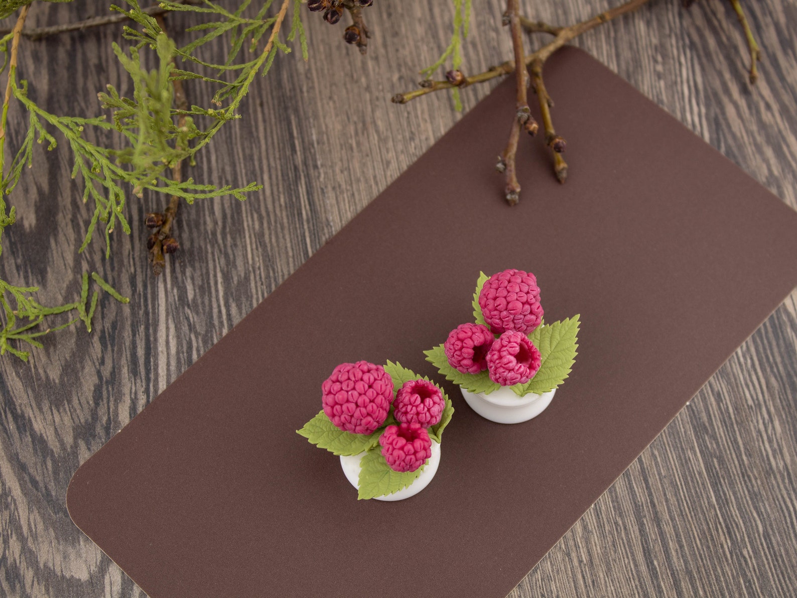 Large Size Ear Plugs and Gauges 12mm 14mm 16mm 18mm 20mm - Etsy