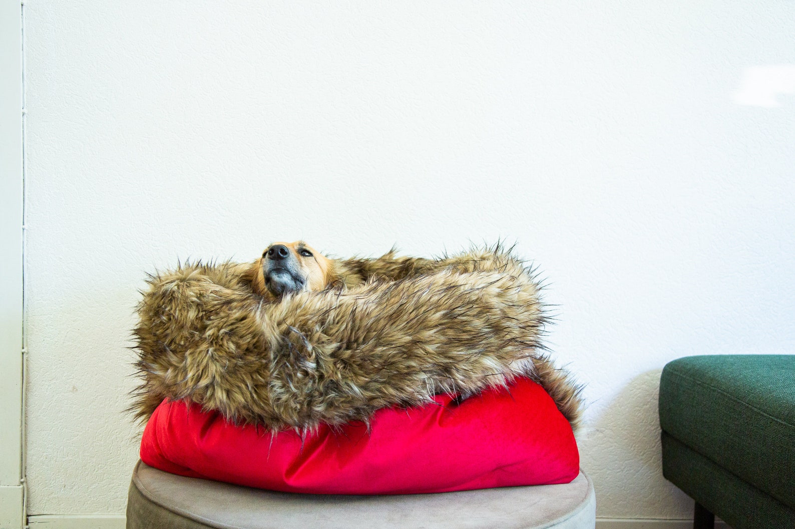 Velvet Faux Fur Snuggle Sack Cuddle Cave Travel Bed | Etsy