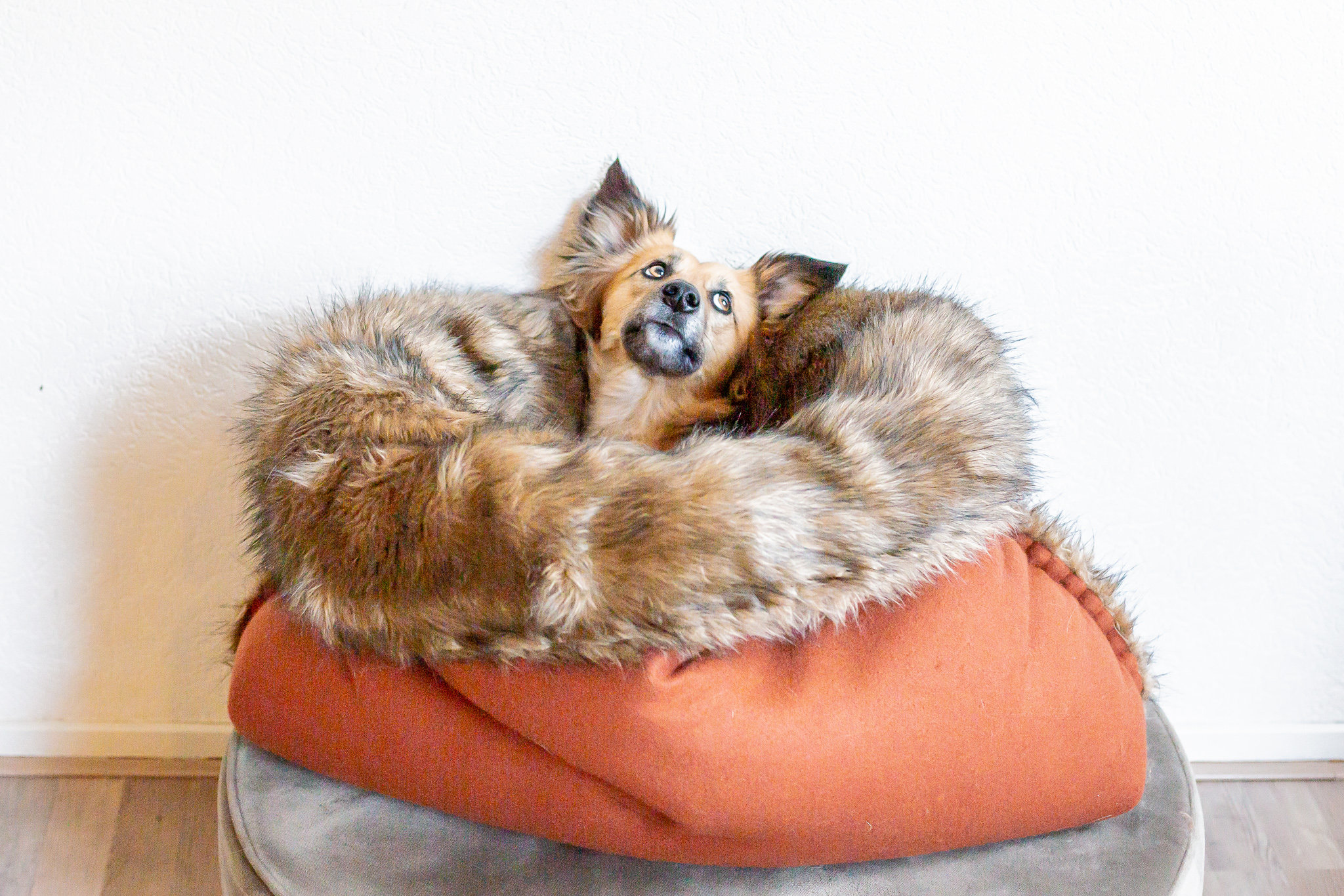 Fluffy cave chair store