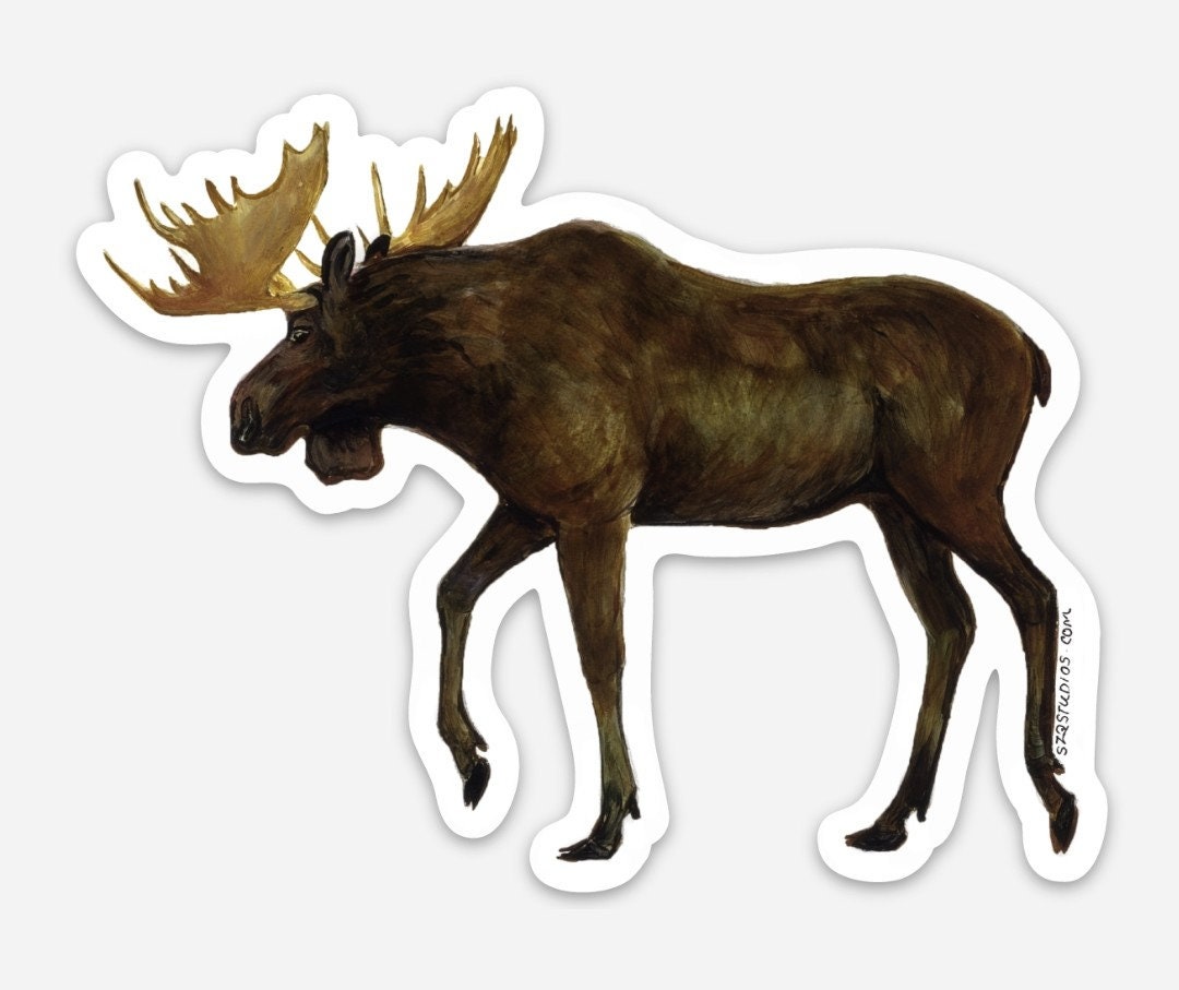 Moose Sticker or Decal - Etsy