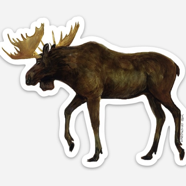 Moose Bumper Sticker - Etsy
