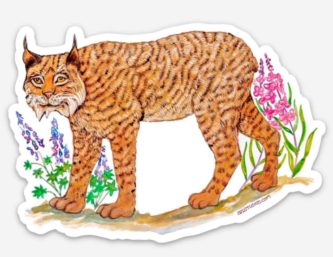 Lynx Sticker or Decal - Etsy
