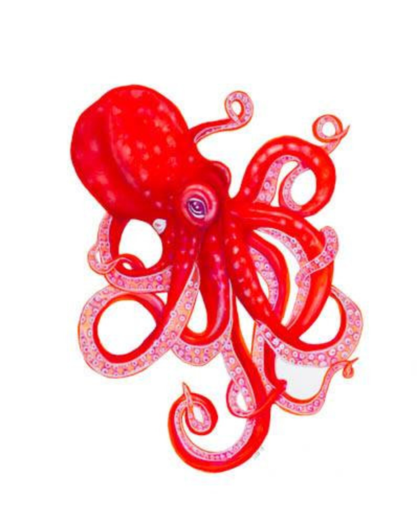 Octopus Sticker Waterproof Vinyl - Etsy