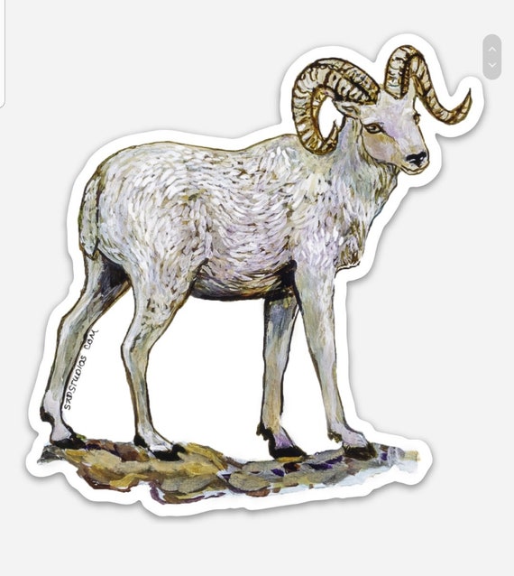 large dall sheep sticker Stickers, Labels & Tags Paper Paper & Party ...