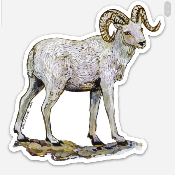 Dall Sheep - Etsy