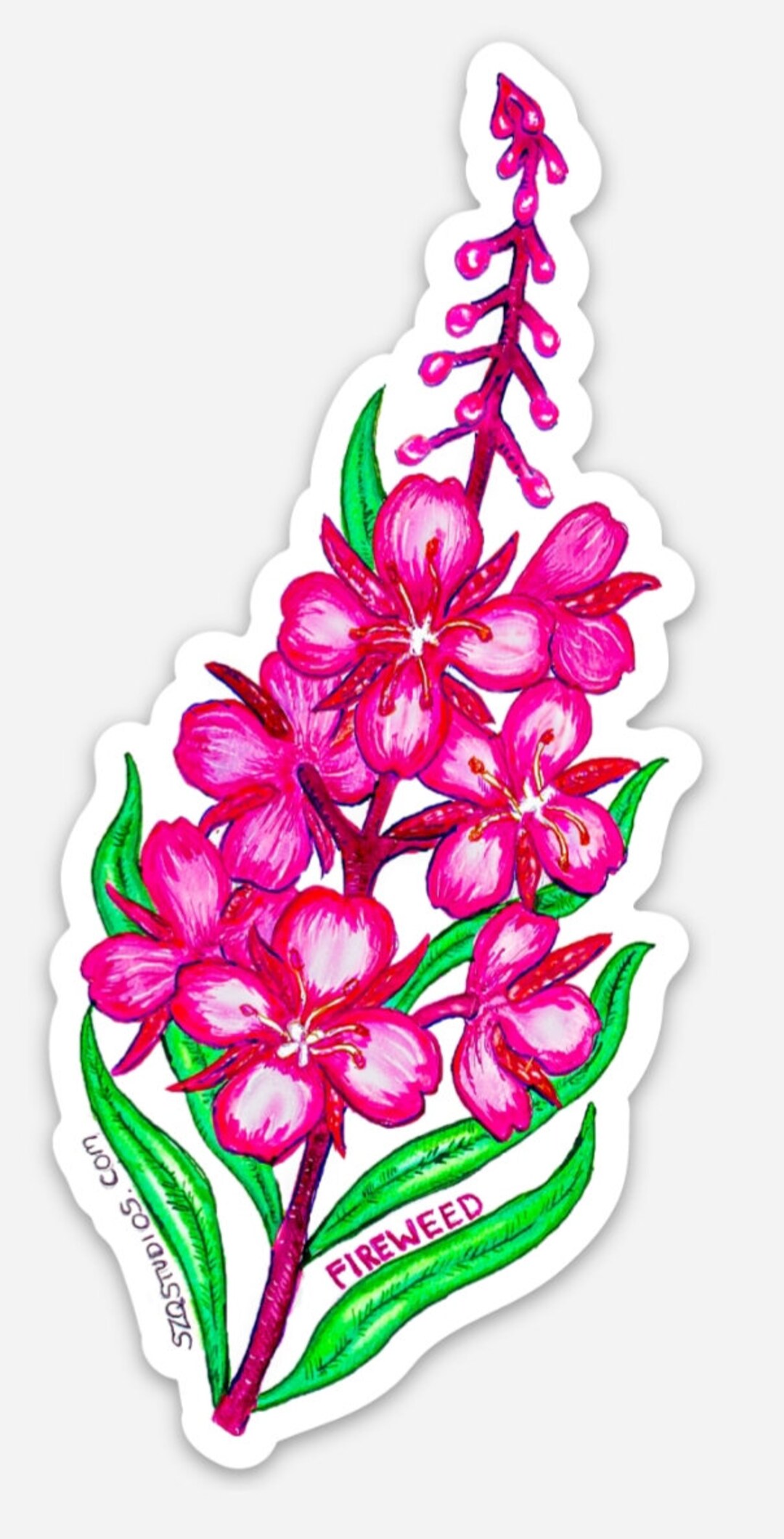 Fireweed Sticker or Decal LARGE - Etsy