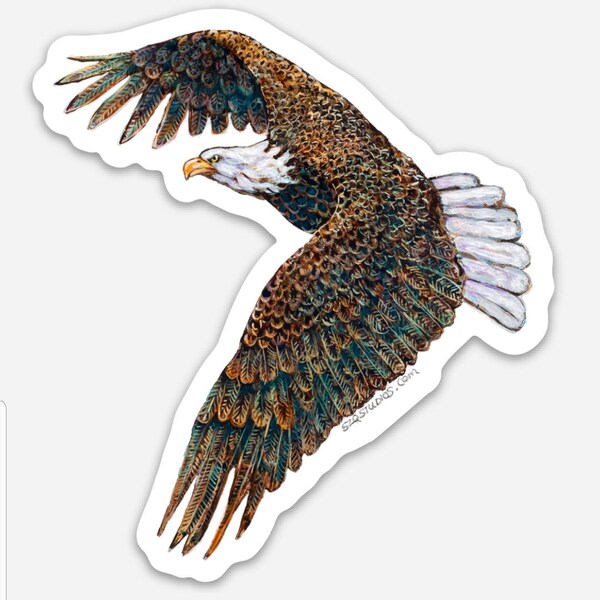 Bald Eagle Decal - Etsy
