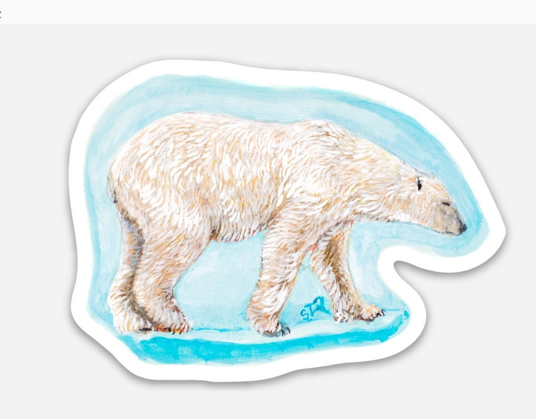Polar Bear Sticker or Decal - Etsy