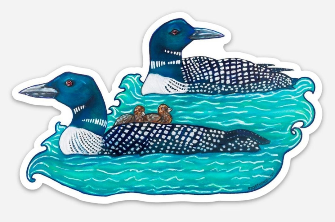 Loon Sticker or Decal - Etsy