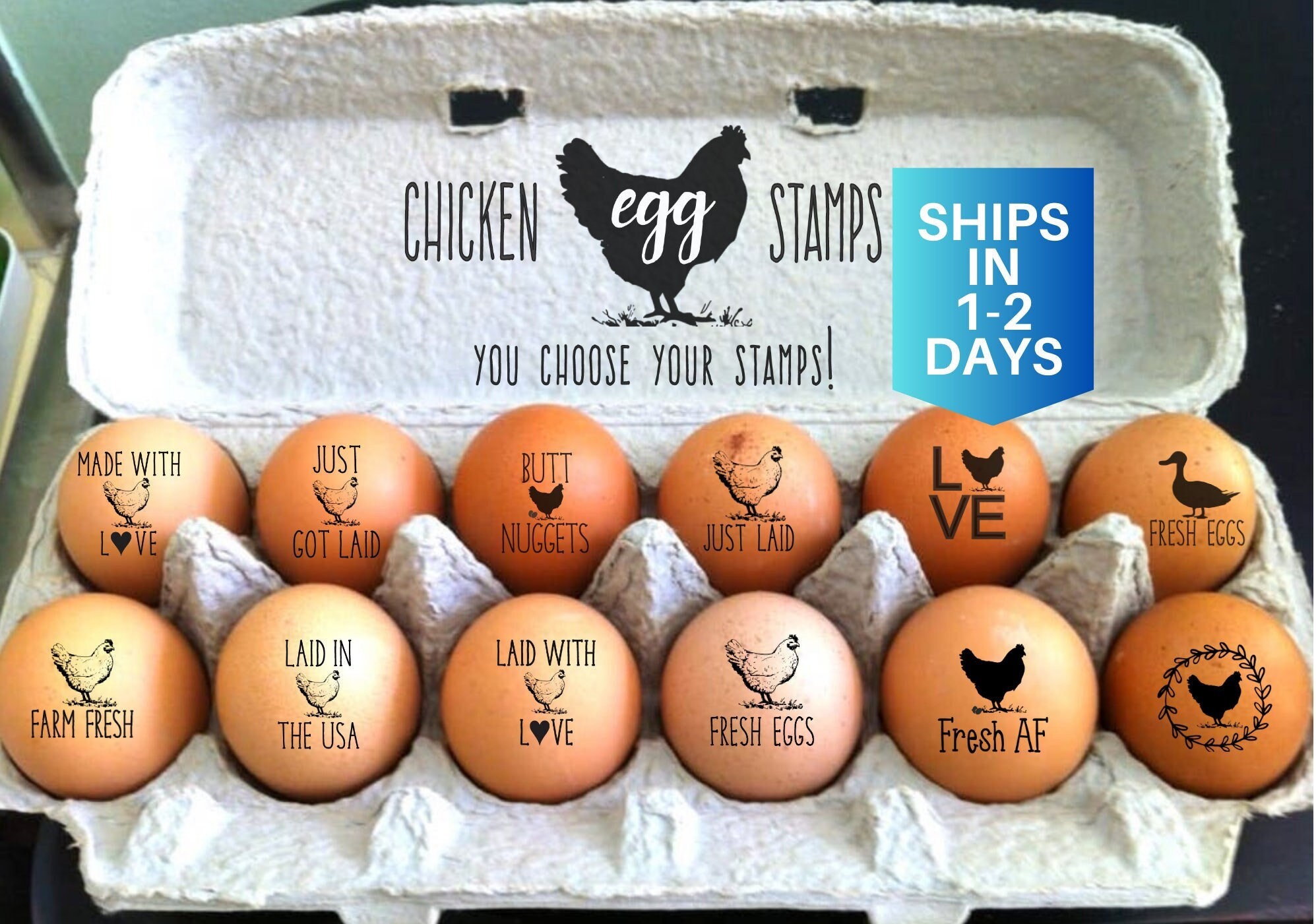 Dancing Chicken Egg