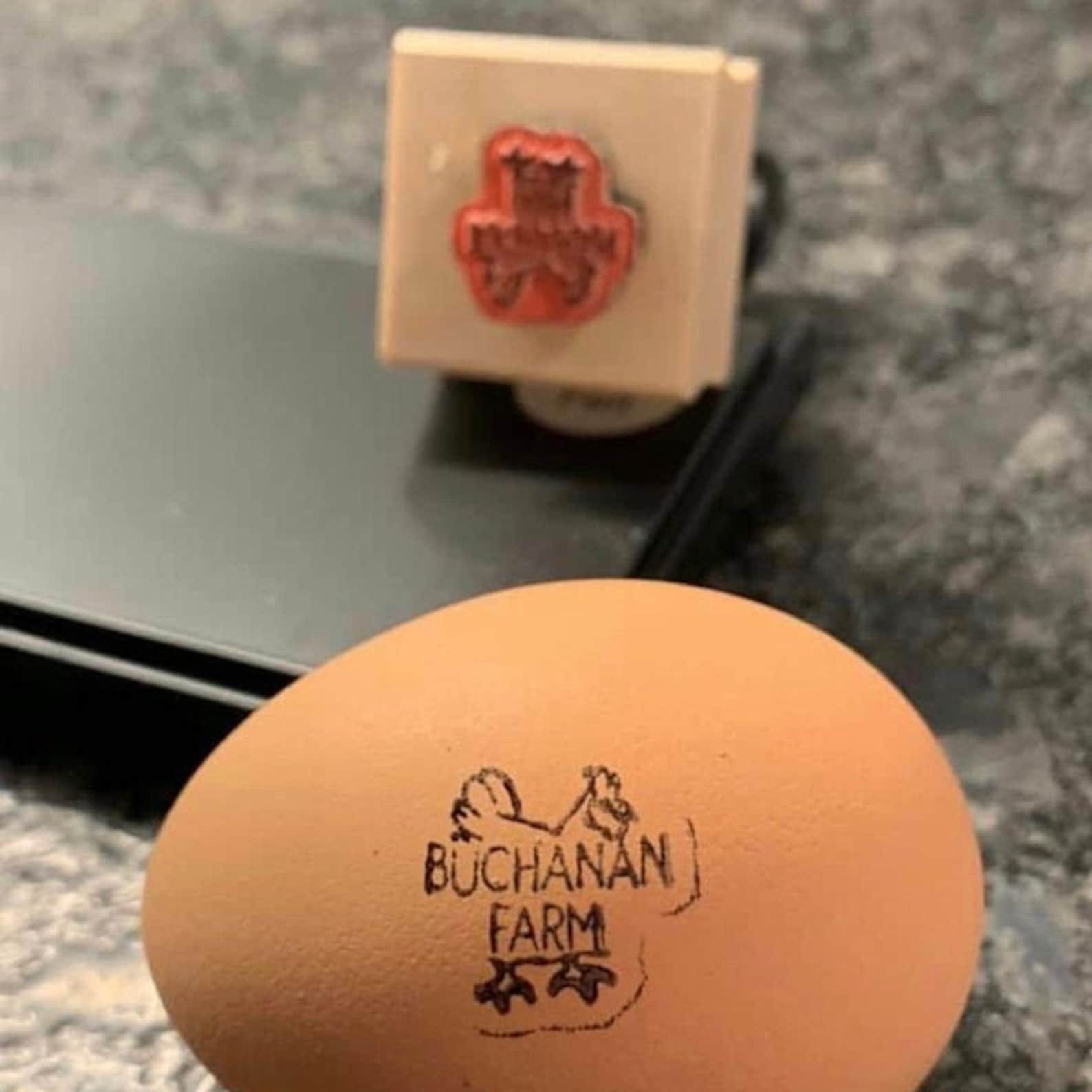 Personalized Egg Stamps Custom Chicken Egg Stamp Farm - Etsy