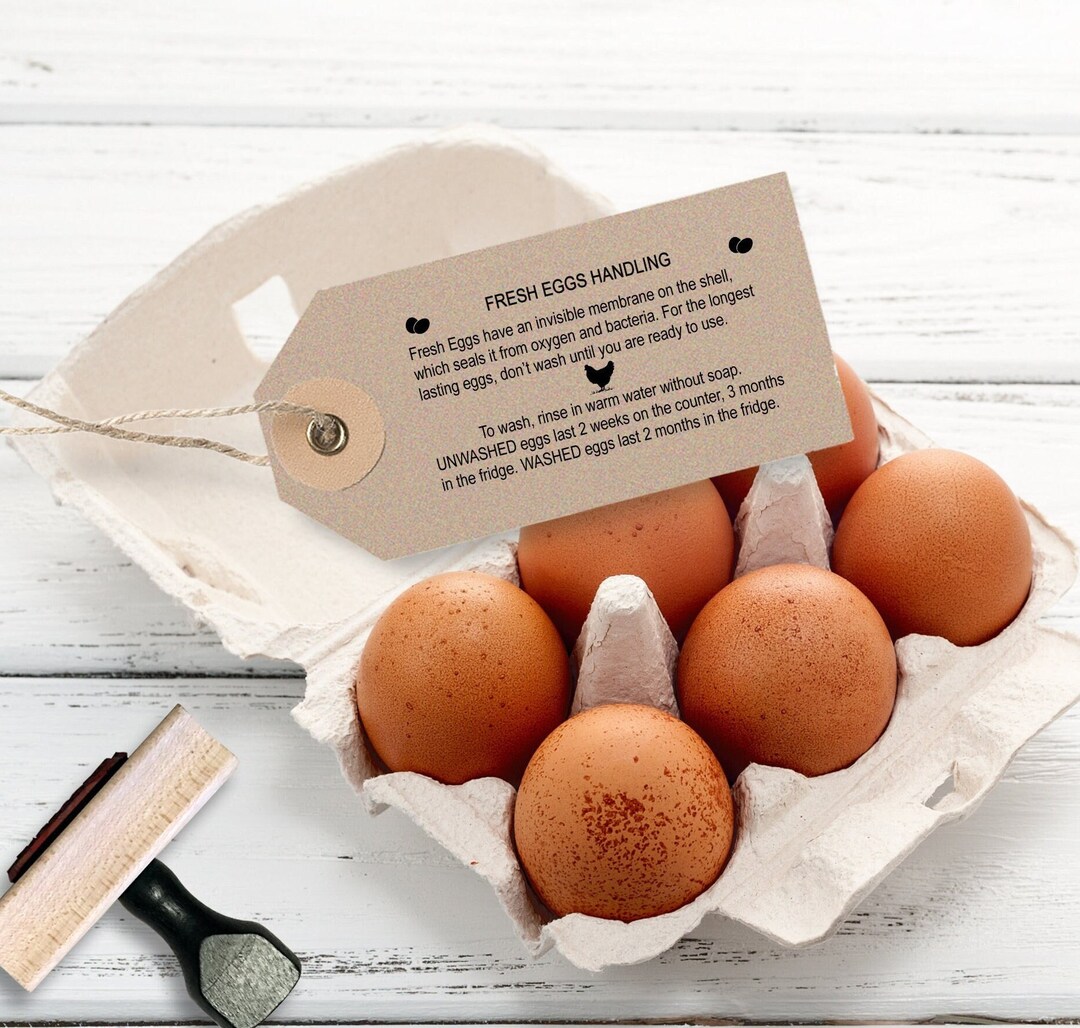 Egg Safety Stamp Egg Handling Stamp Safe Egg Handling Instructions Egg ...