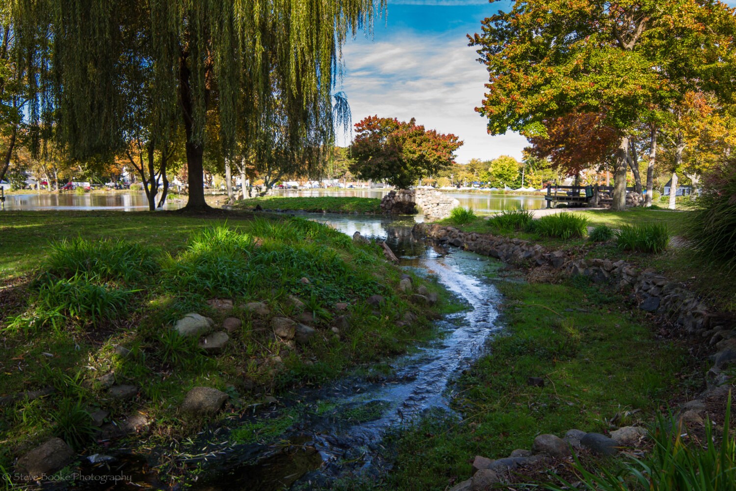 Brook Through the Trees, Fine Art Print, Nature, New York, Nature Photo ...