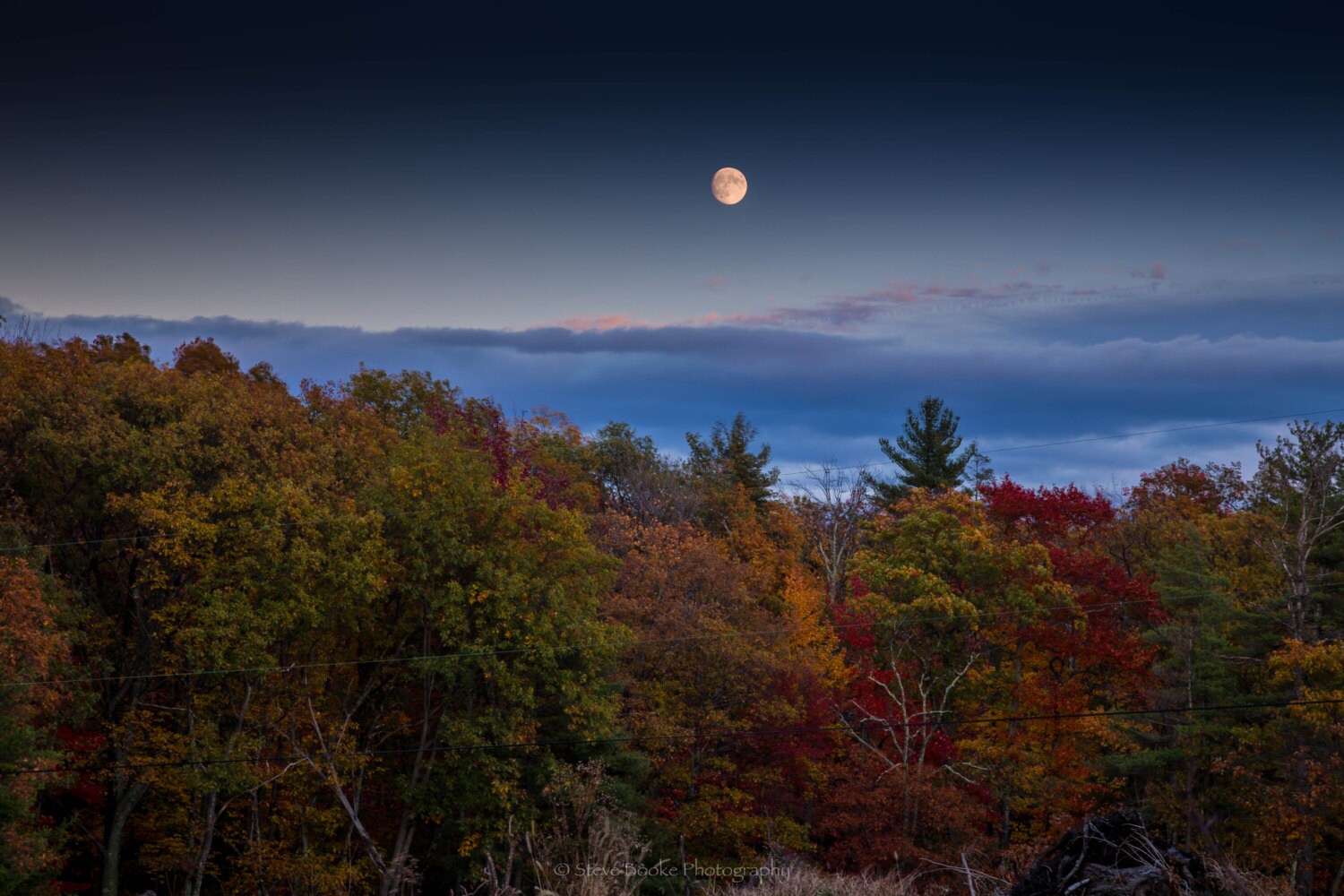 Rising Moon in the Late Fall Fine Art Print Moon Night - Etsy