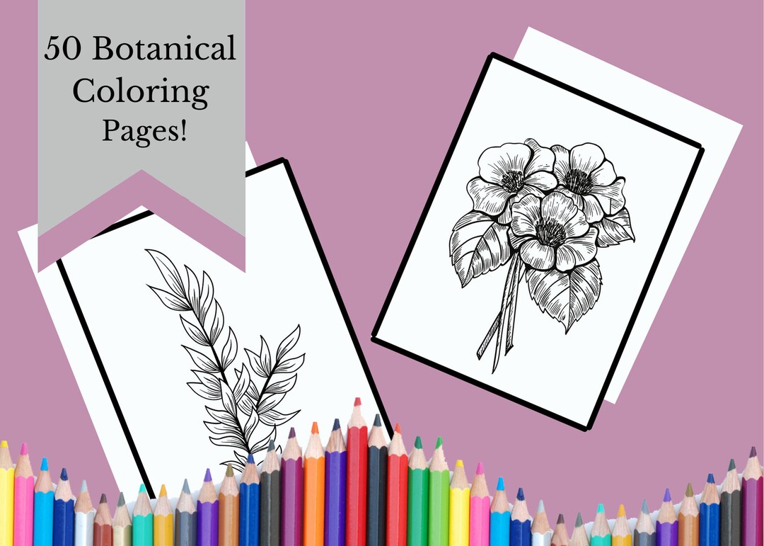 50 Printable Adult Coloring Pages Botanical Floral Sketches - Etsy