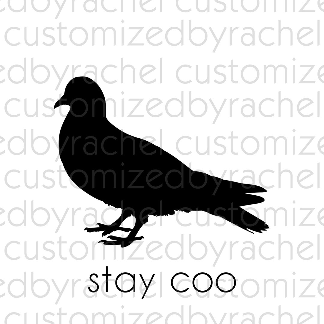 Stay Coo SVG File - Etsy