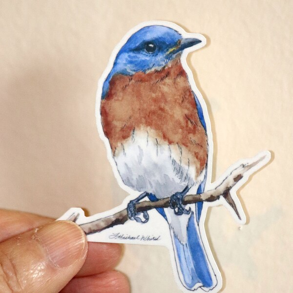 Bluebird - Etsy
