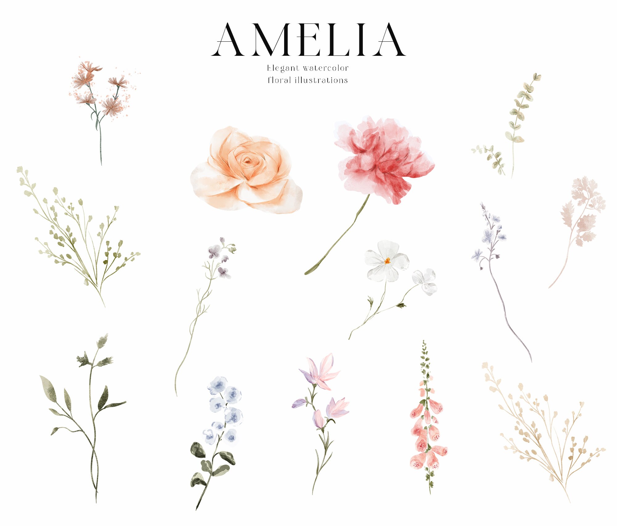 Watercolor Floral Clipart Spring Flower Clipart wild - Etsy