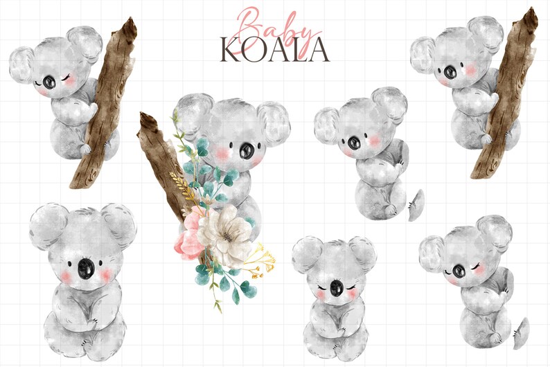 Baby Koala Watercolor Cliparts Australia Koala Watercolor - Etsy