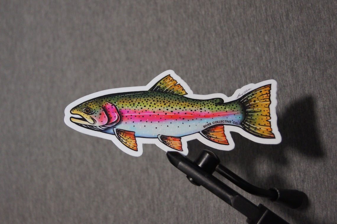Rainbow Trout Sticker Decal 20% Flows to Western Rivers - Etsy
