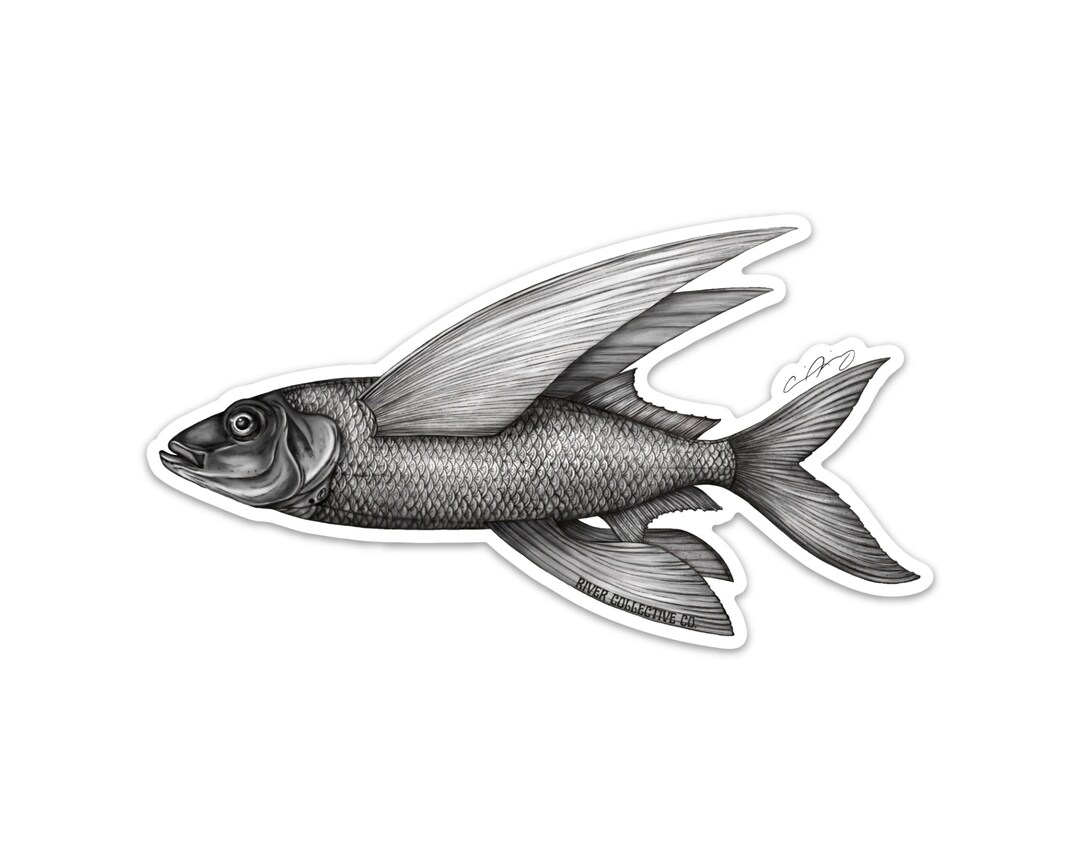 Flying Fish Sticker Decal - 20% DONATED Into Local Conservation ...