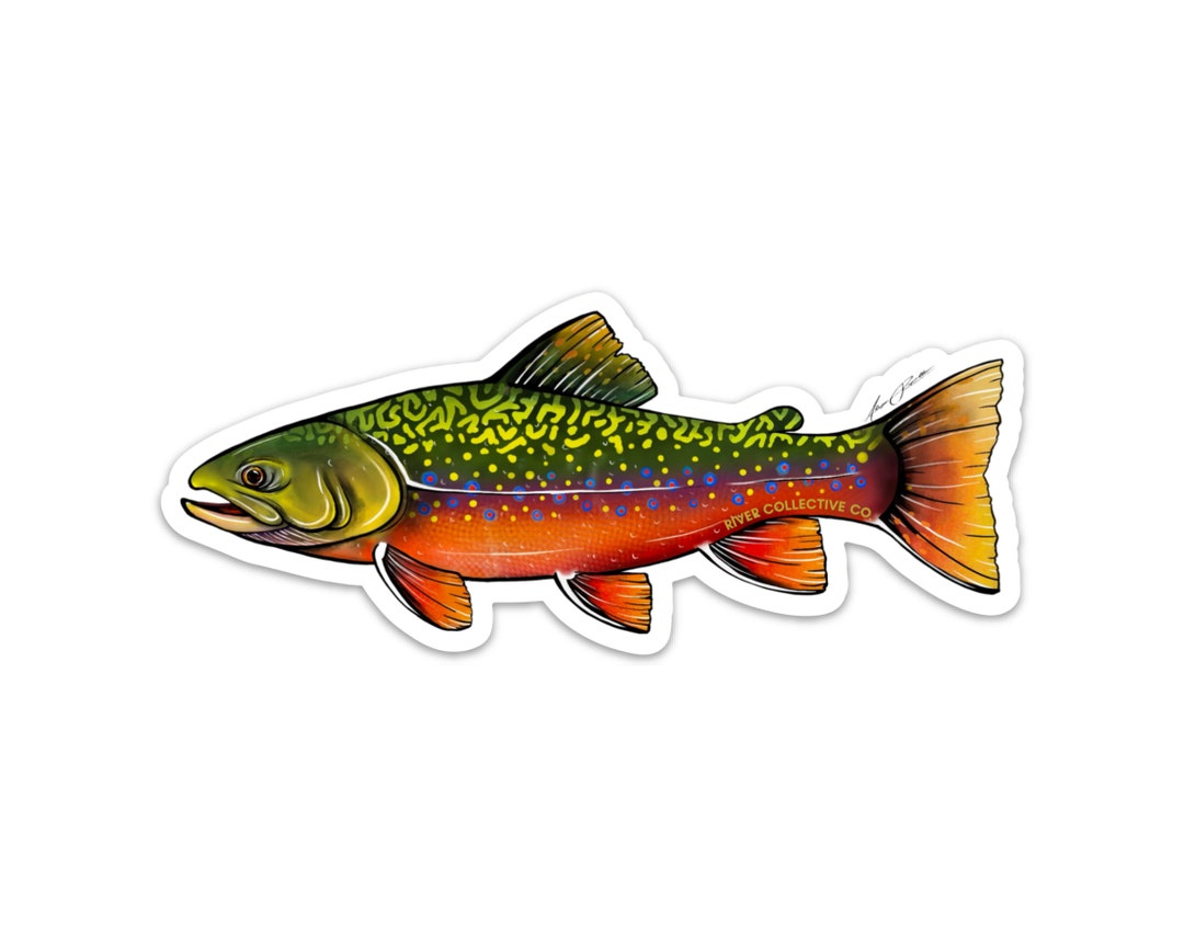 Brook Trout Sticker Decal 20% Flows to Western Rivers - Etsy