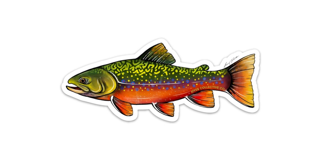 Brook Trout Sticker Decal 20% Flows to Western Rivers - Etsy