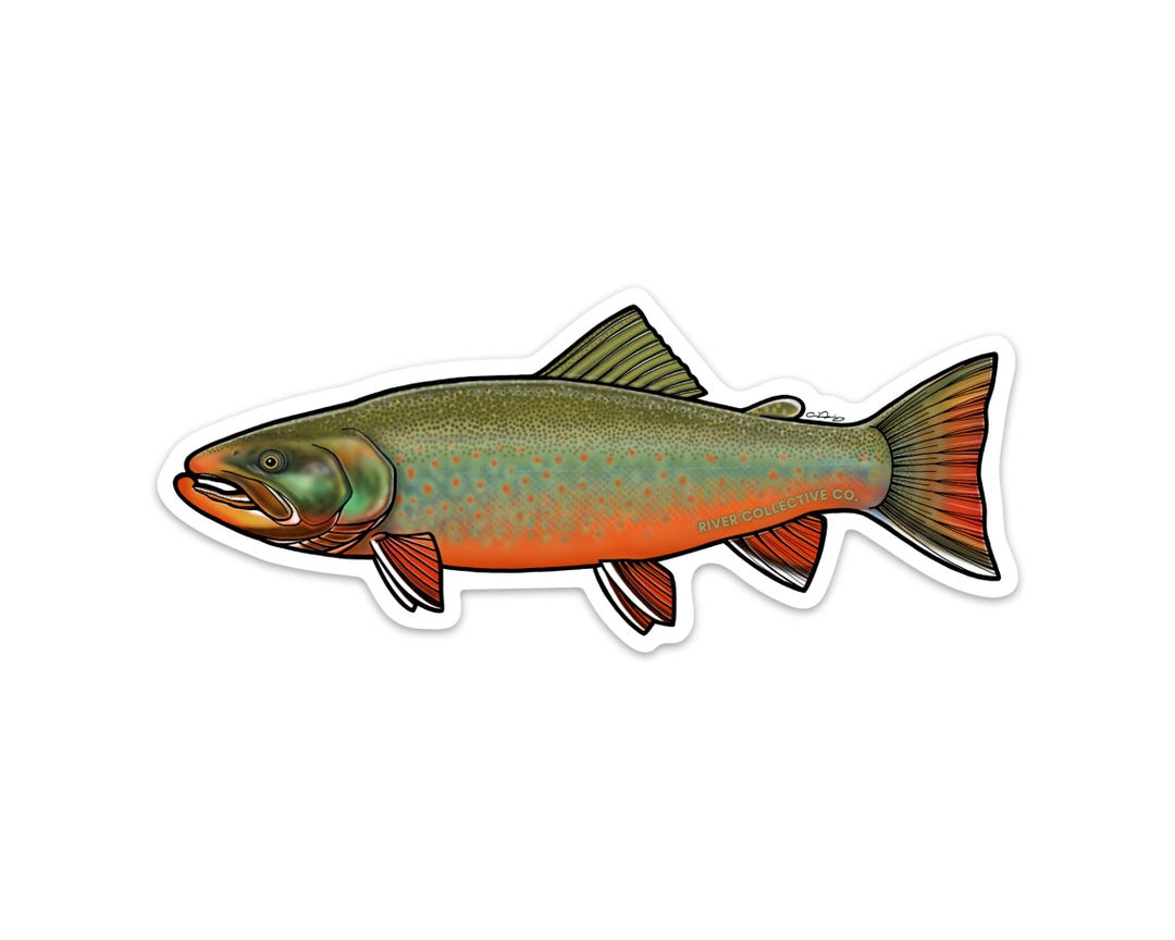 Arctic Char Sticker Decal - 20% Flows Back Into Local Rivers! - Etsy