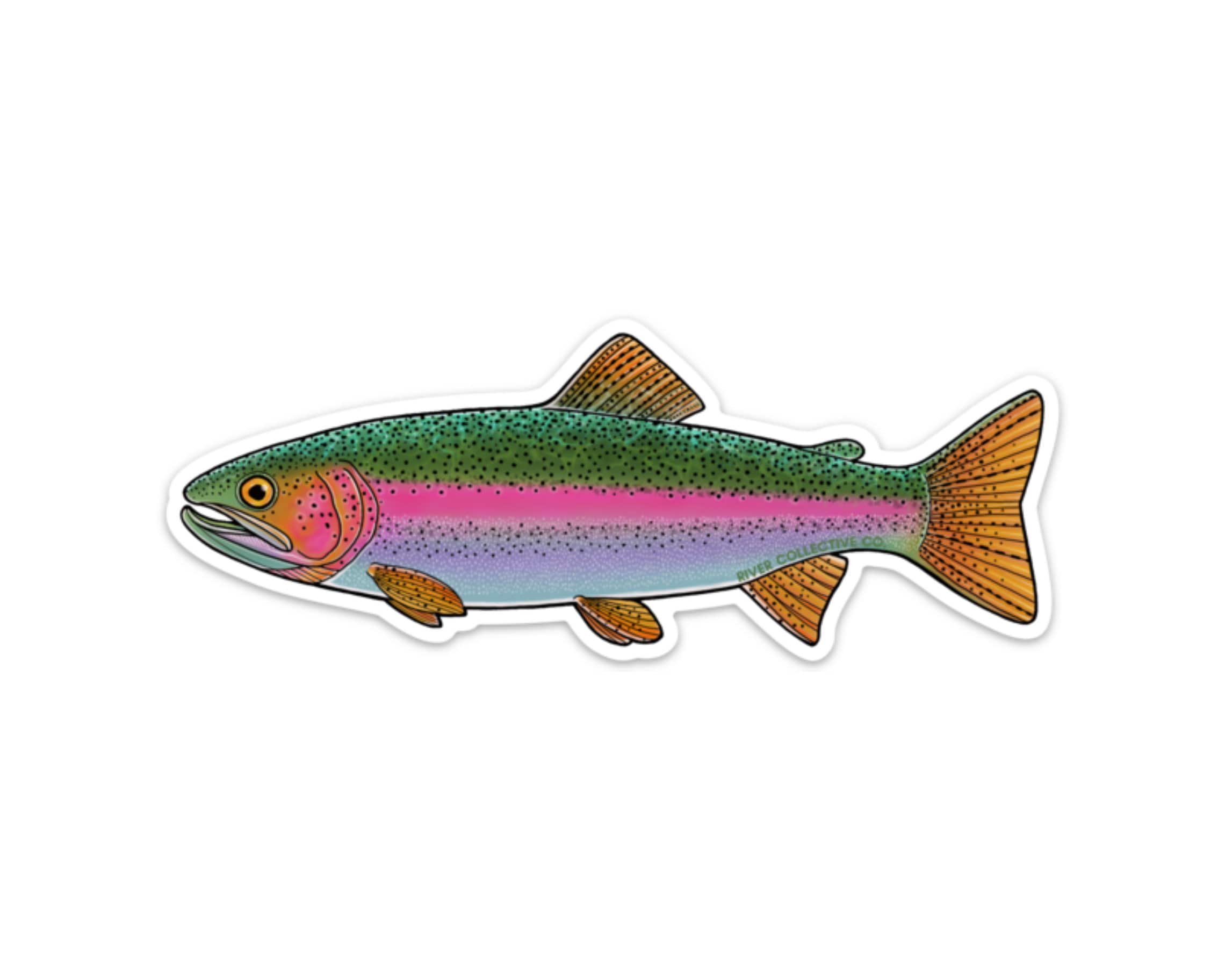 Juvenile Rainbow Trout Sticker Decal - 20% Flows Back Into Local Rivers ...