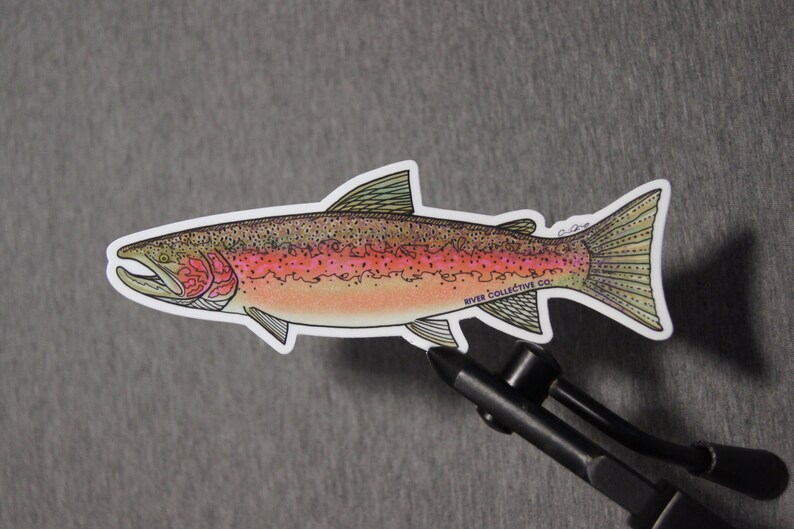 Steelhead Sticker Decal 20% Flows to Western Rivers - Etsy