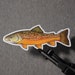 Tiger Trout Sticker Decal 20% Flows to Western Rivers - Etsy