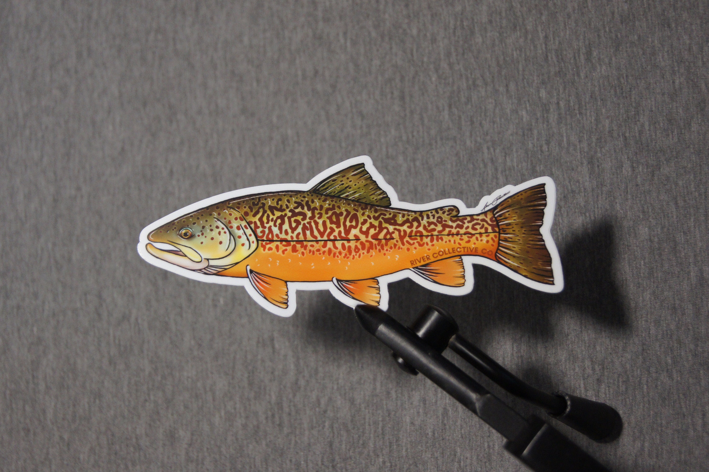 Tiger Trout Sticker Decal 20% Flows to Western Rivers - Etsy