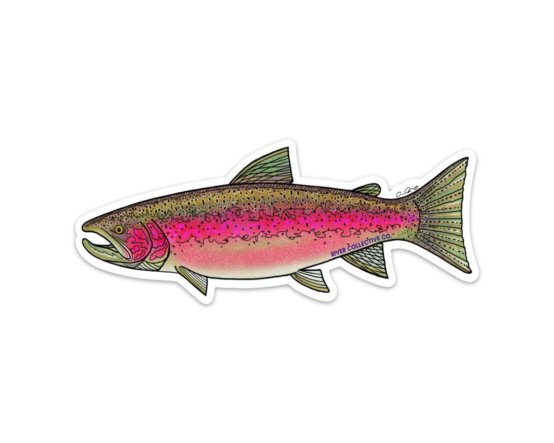 Steelhead Sticker Decal 20% Flows to Western Rivers - Etsy