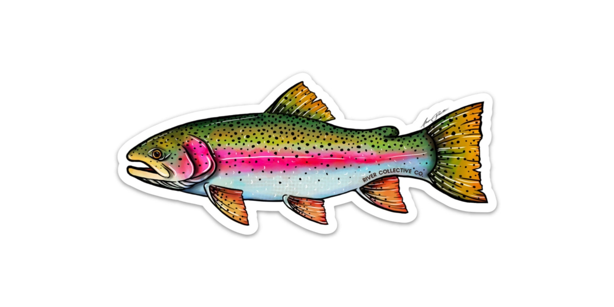 Rainbow Trout Sticker Decal 20% Flows to Western Rivers - Etsy