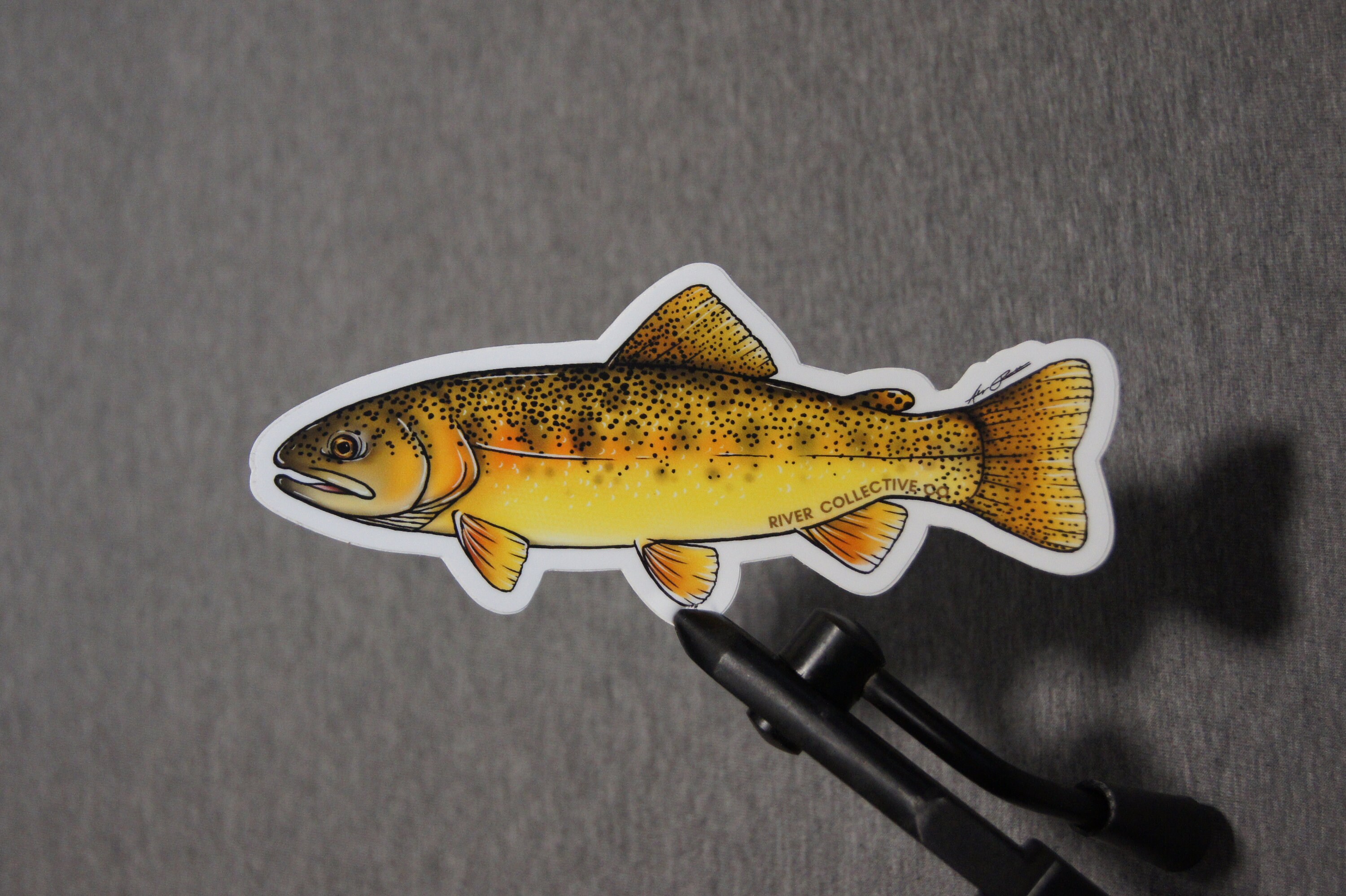 Gila Trout Sticker Decal 20% Flows to Western Rivers - Etsy