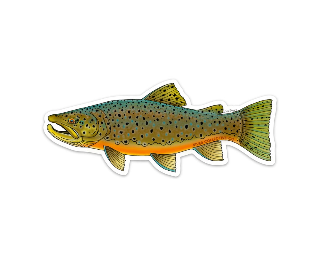 Autumn Brown Trout Sticker Decal - 20% Flows Back Into Local Rivers! - Etsy