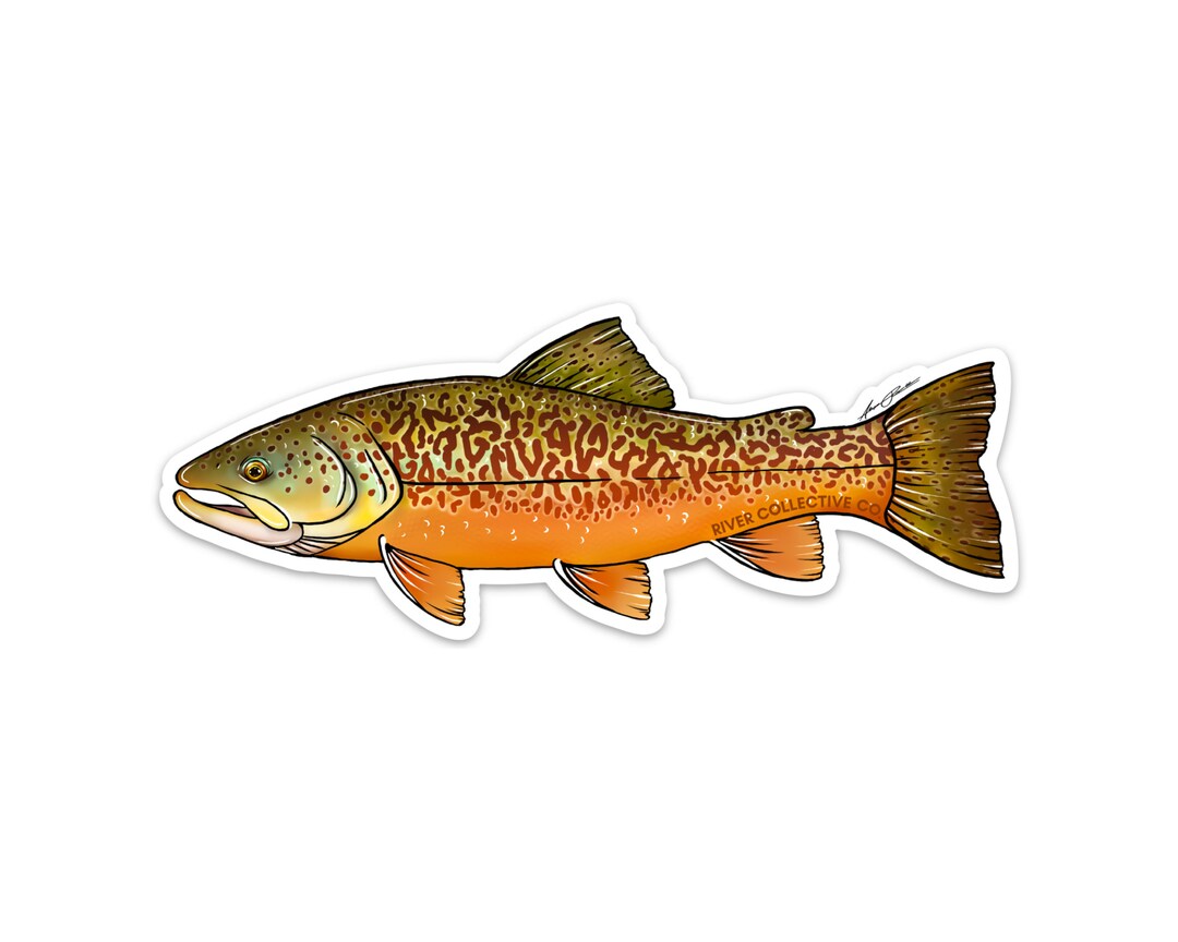 Tiger Trout Sticker Decal 20% Flows to Western Rivers - Etsy