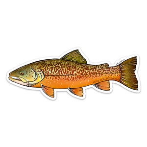 Tiger Trout Sticker Decal 20% Flows to Western Rivers - Etsy