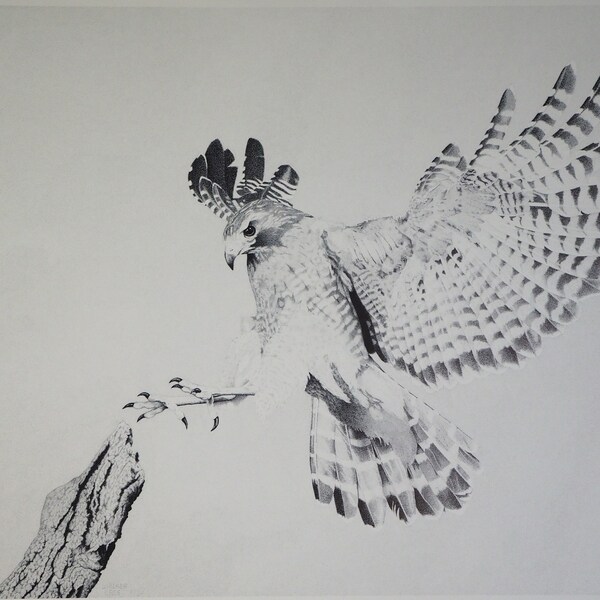 Ink Stippling - Etsy