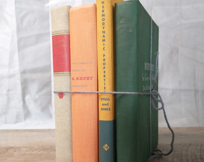 Rainbow Book Stack Decor | Vintage Rainbow Colored Stack of Books | Decorative Books by Color ...