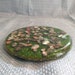 Vintage Green Lucite Abalone Shell Trivet: Coastal Kitchen Decor - Etsy