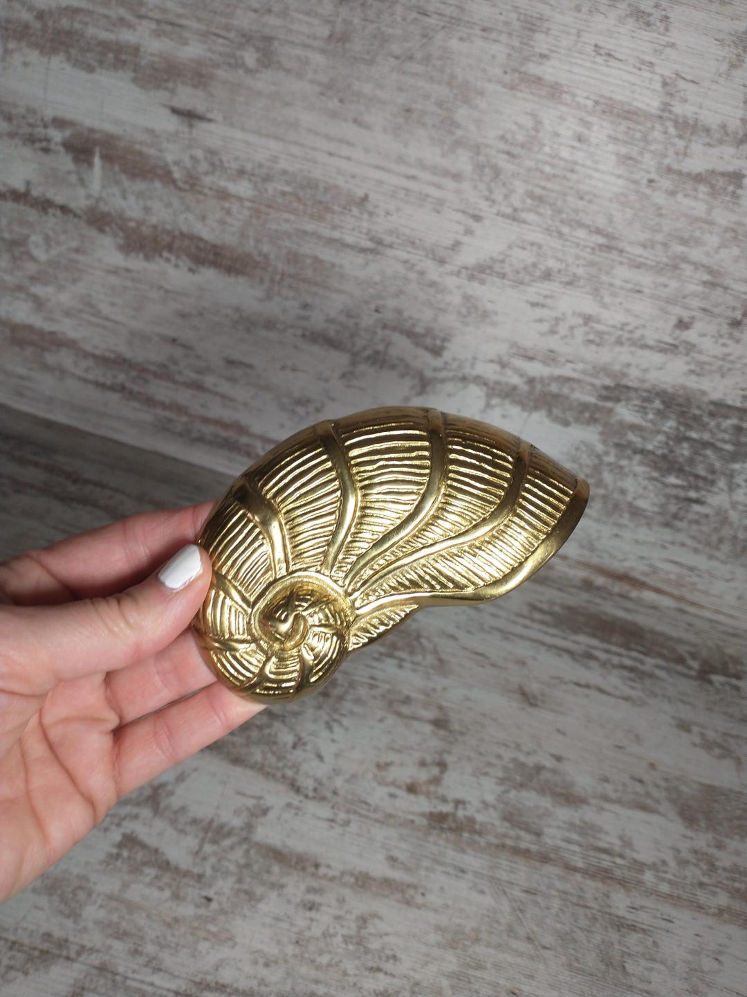 Gold Metal Conch Shell Wall Decor, Vintage Coastal Home Accent ...